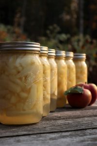 30+ Apple Canning Recipes - Creative Canning