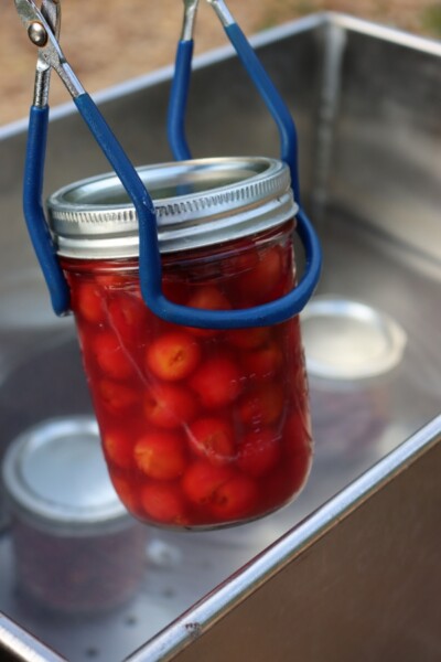 30+ Cherry Canning Recipes - Creative Canning