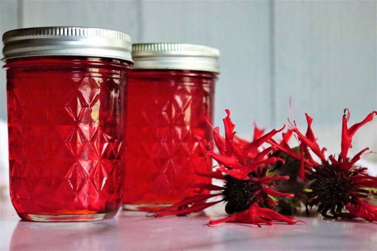How to Make Flower Jelly (with 20+ Recipes!) - Creative Canning