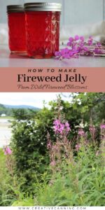 Fireweed Jelly - Creative Canning