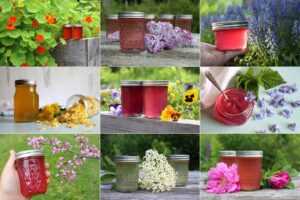 How to Make Flower Jelly (with 20+ Recipes!) - Creative Canning