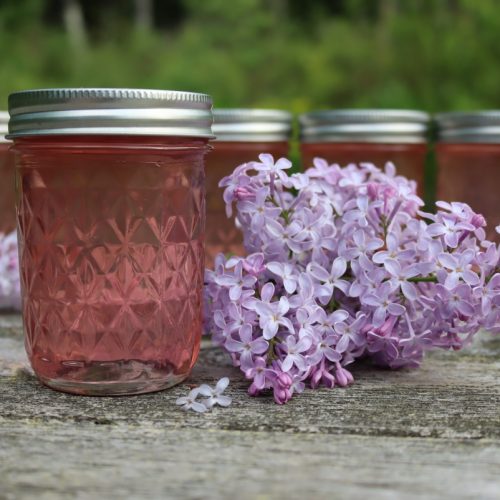How to Make Flower Jelly (with 20+ Recipes!) - Creative Canning