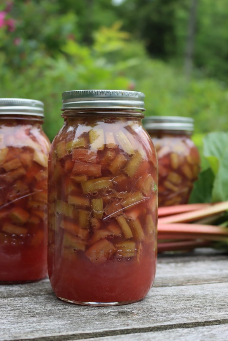 30+ Rhubarb Canning Recipes - Creative Canning