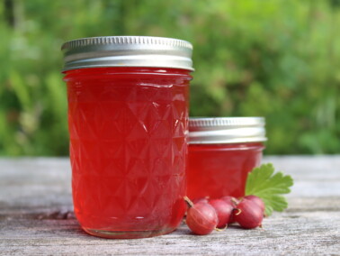 Gooseberry Jam - Creative Canning