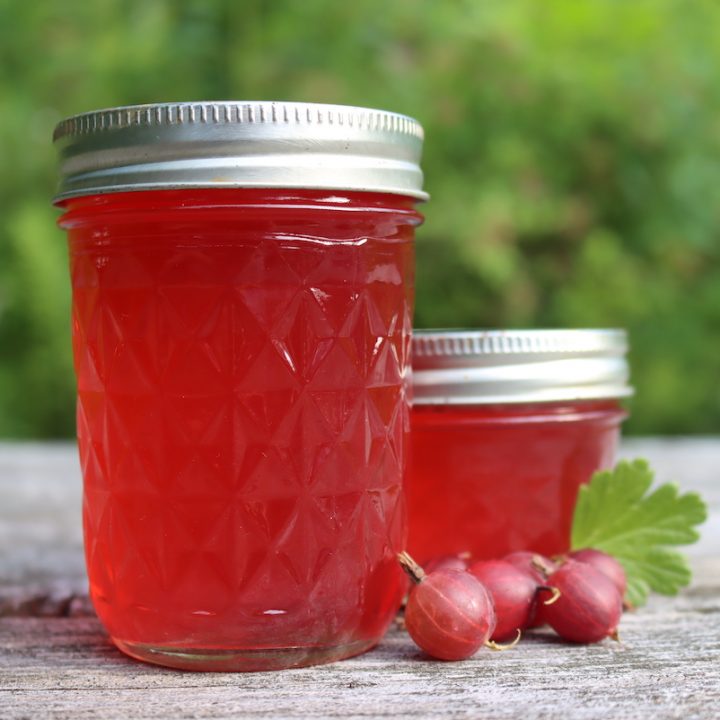 Gooseberry Jelly - Creative Canning
