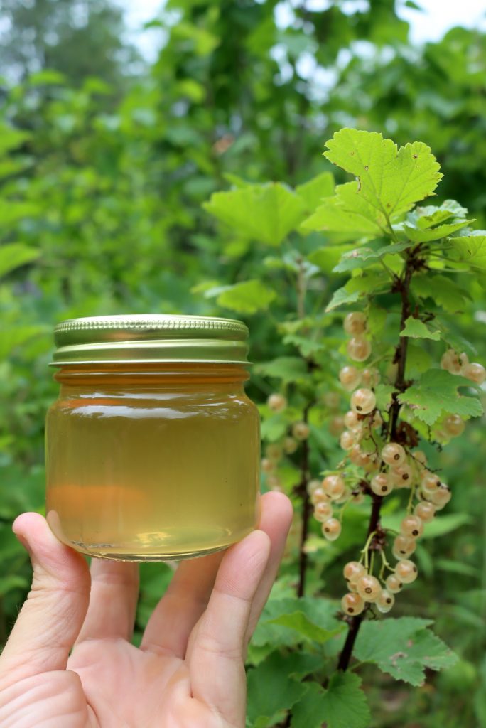 White Currant Jelly - Creative Canning