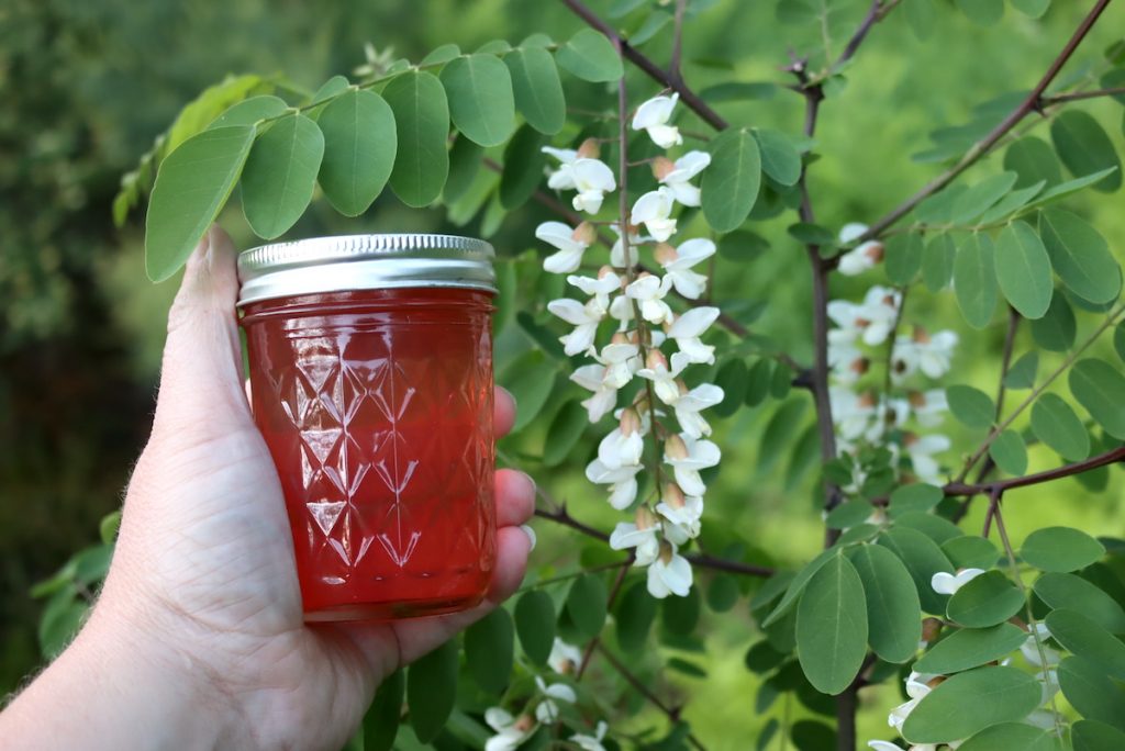 Black Locust Flower Jelly - Creative Canning