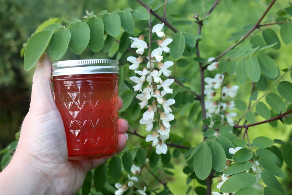 Black Locust Flower Jelly