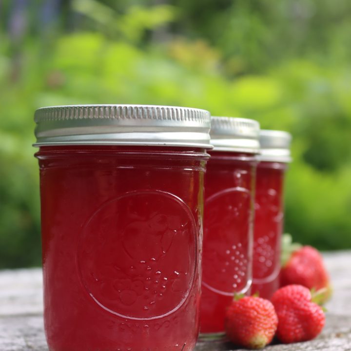 Canning Berry Juice - Creative Canning