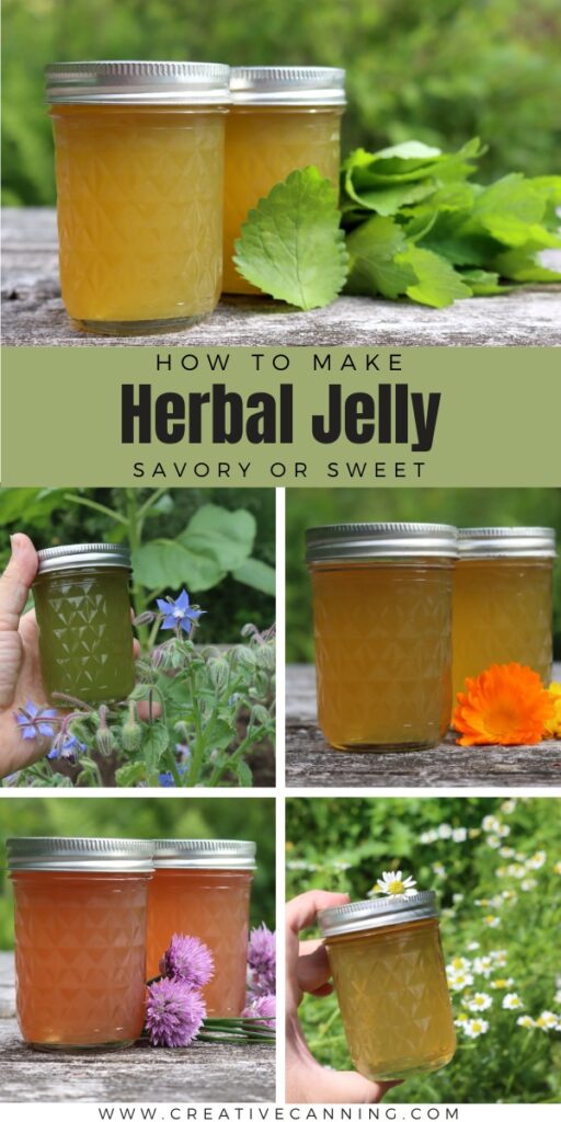 How to Make Herbal Jelly (Savory or Sweet) - Creative Canning