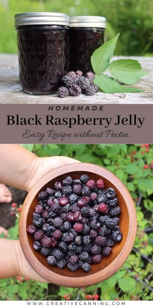 Black Raspberry Jelly (Seedless) - Creative Canning