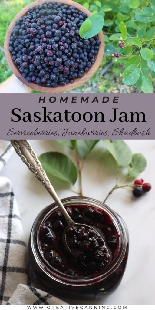 Saskatoon Jam - Creative Canning
