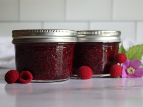 Seedless Raspberry Jam (No Added Pectin) - Creative Canning