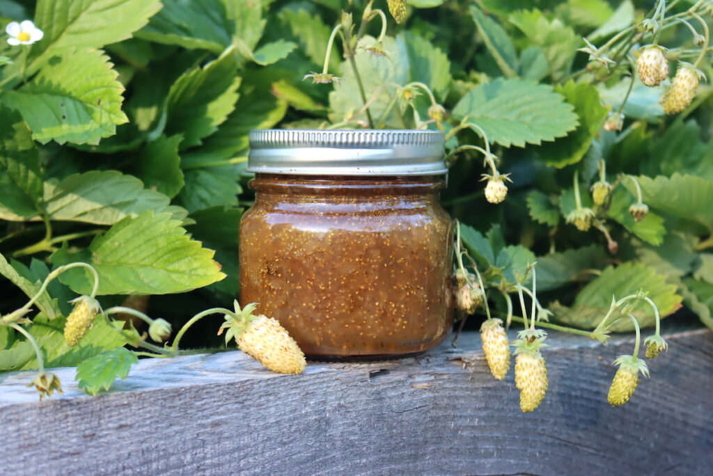 Alpine Strawberry Jam (or Wild Strawberry Jam) - Creative Canning