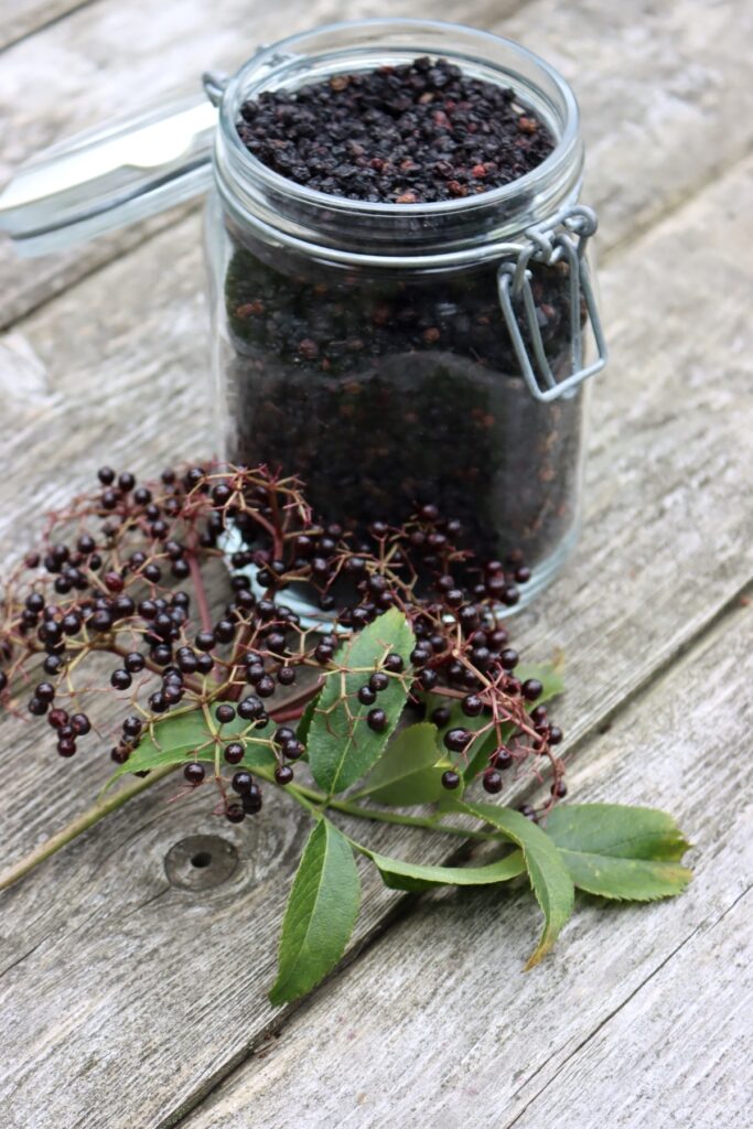 Old-Fashioned Elderberry Jam - Creative Canning