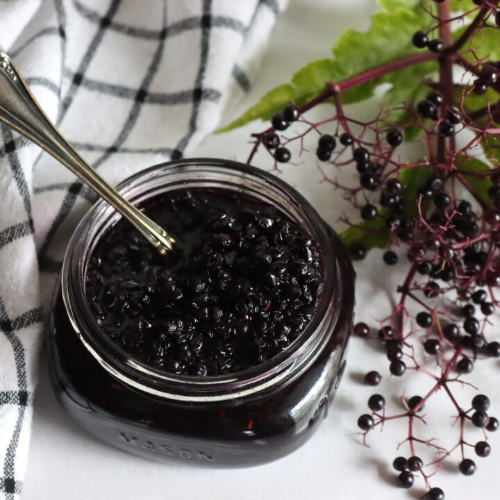 Old-Fashioned Elderberry Jam - Creative Canning