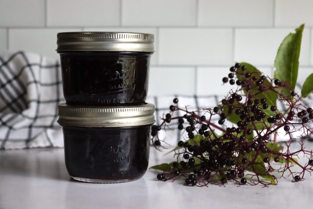 Elderberry Jelly - Creative Canning