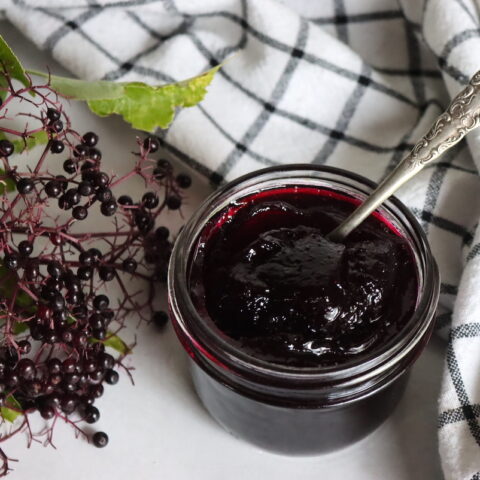 Elderberry Jelly - Creative Canning