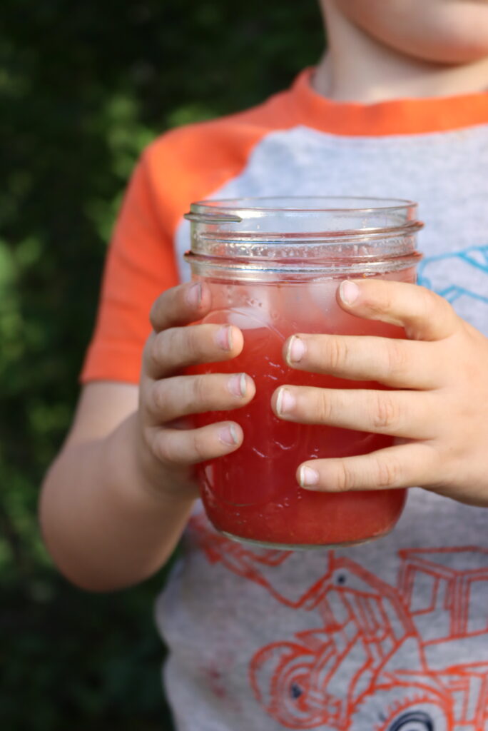 Canning Strawberry Lemonade Concentrate - Creative Canning