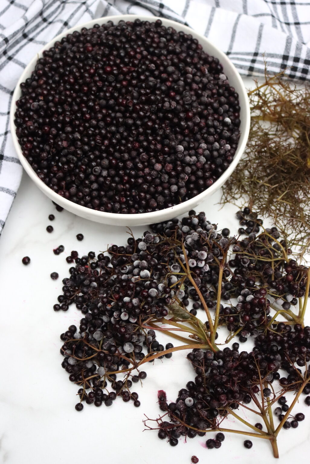 Elderberry Jelly - Creative Canning