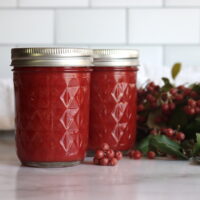 Autumn Olive Jam - Creative Canning