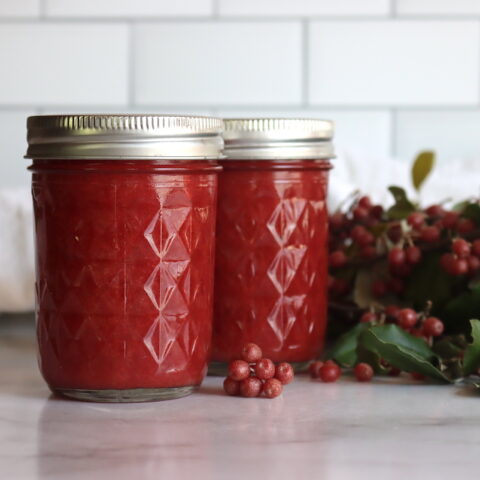 Autumn Olive Jam - Creative Canning