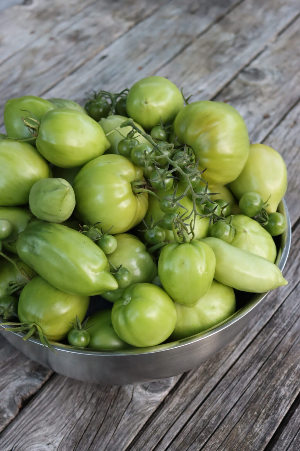 Green Tomato Chow Chow (Canadian Style) - Creative Canning
