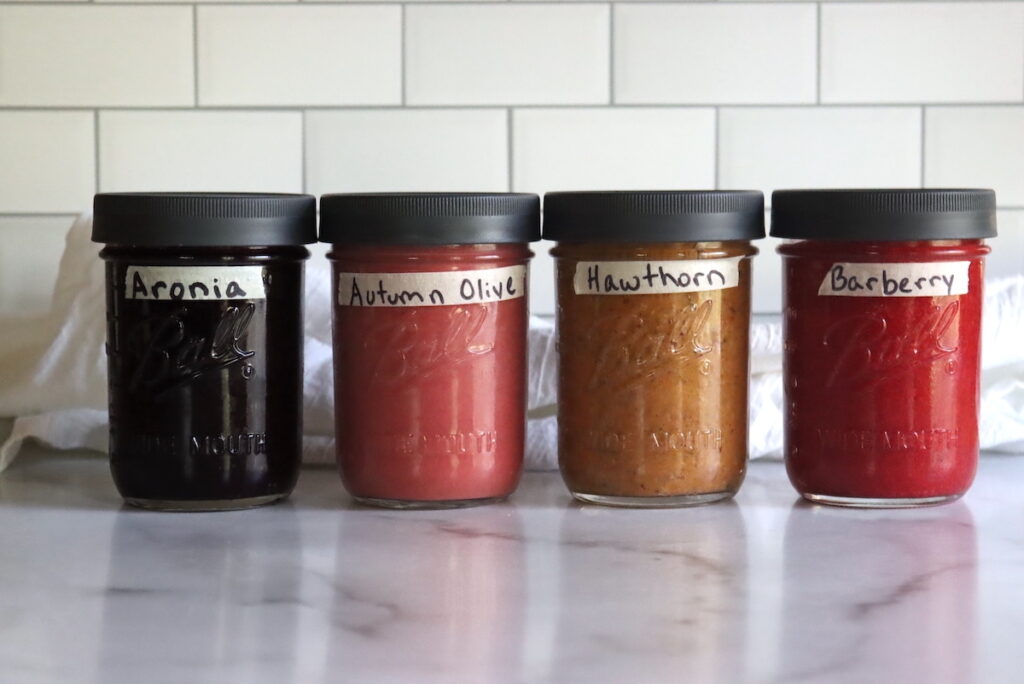 Autumn Olive Jam - Creative Canning