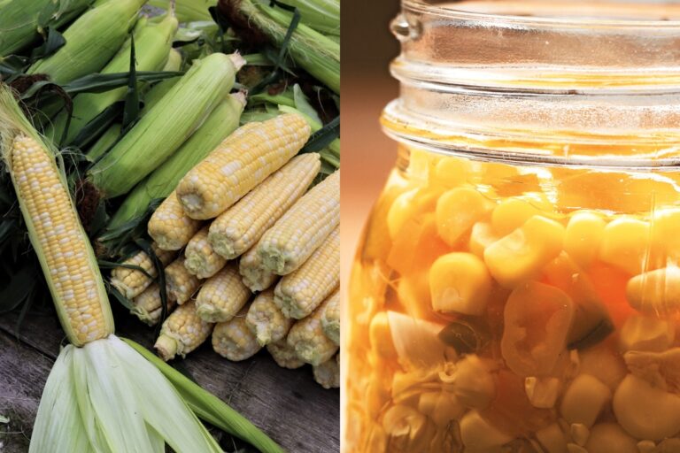 Canning Pickled Corn Salad - Creative Canning