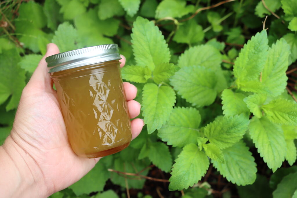 How to Make Herbal Jelly (Savory or Sweet) - Creative Canning