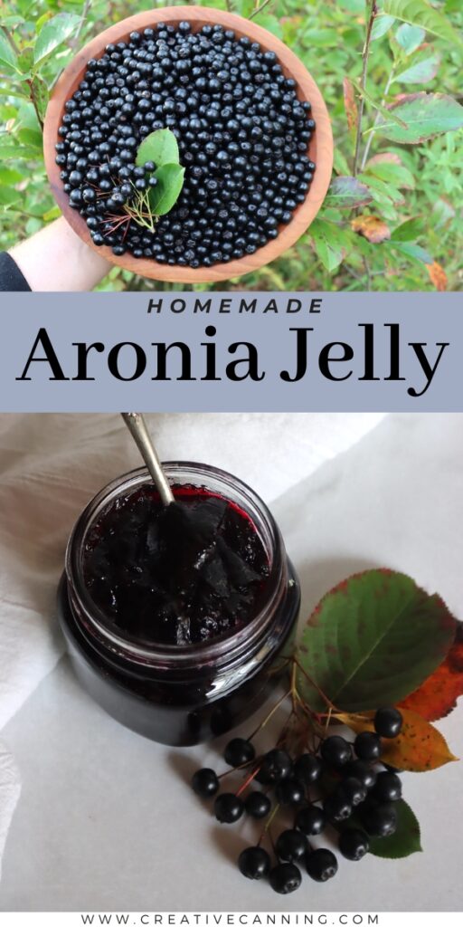Aronia Jelly - Creative Canning
