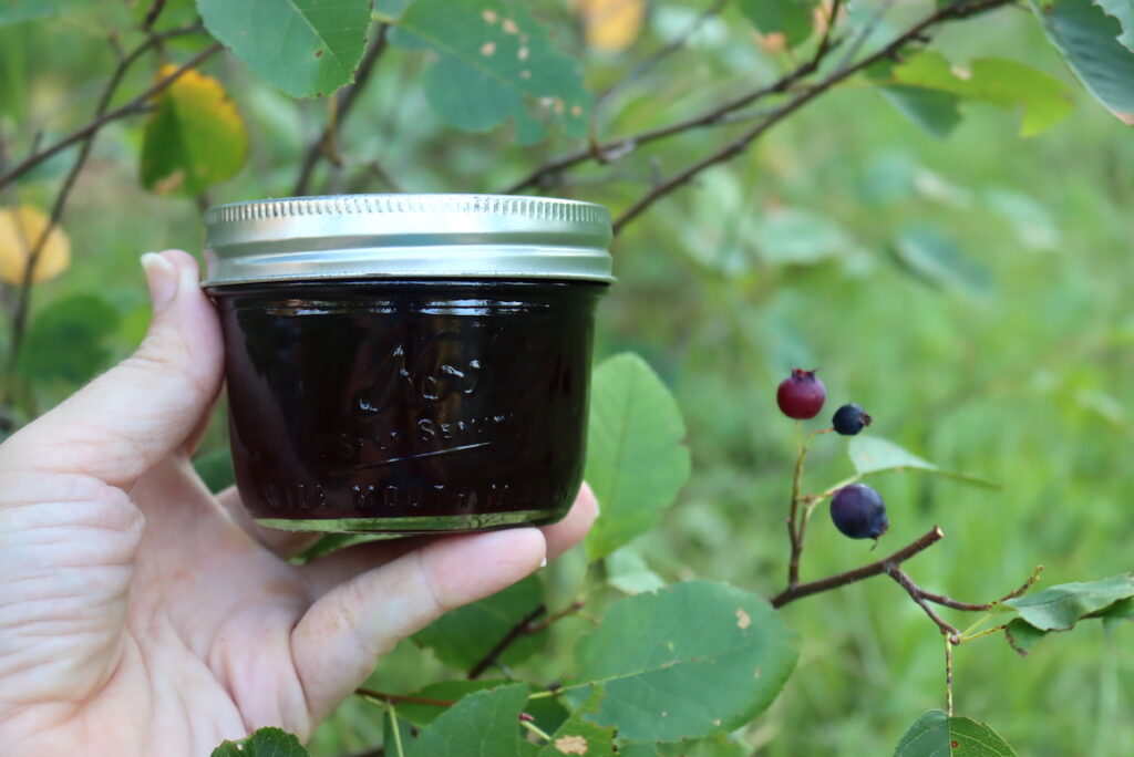 Saskatoon Jelly (aka. Serviceberry, Juneberry, Shadbush) - Creative Canning