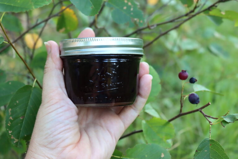 Saskatoon Jelly (aka. Serviceberry, Juneberry, Shadbush) - Creative Canning