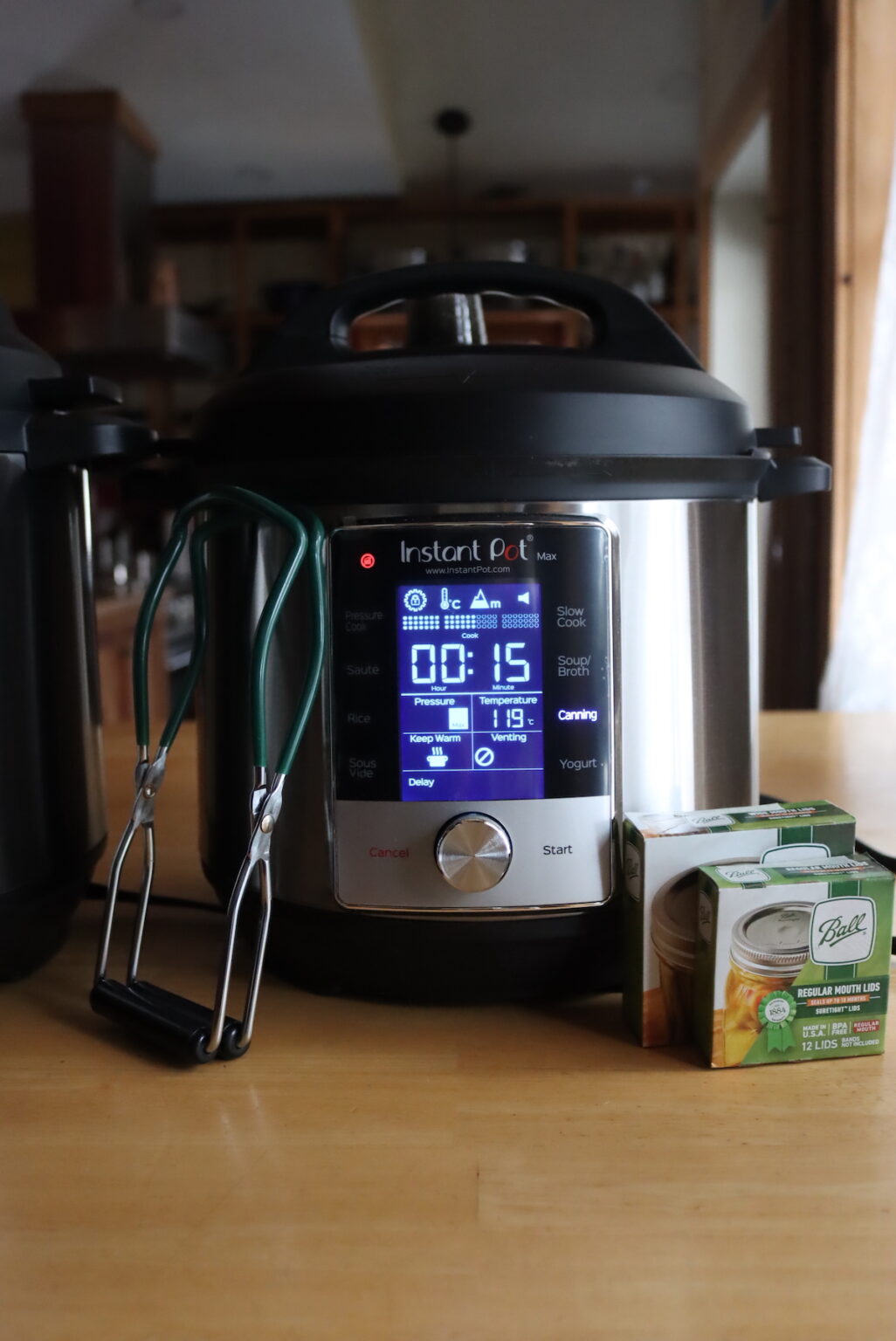 Can You Can in the Instant Pot? (& Electric Pressure Canning Options ...