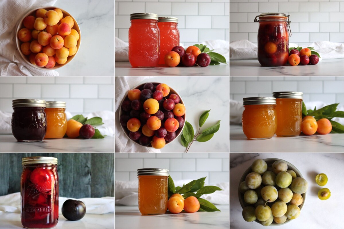 40+ Plum Canning Recipes - Creative Canning