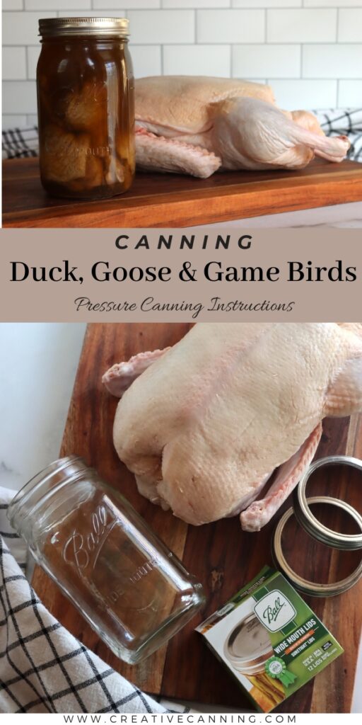 Canning Duck or Goose - Creative Canning