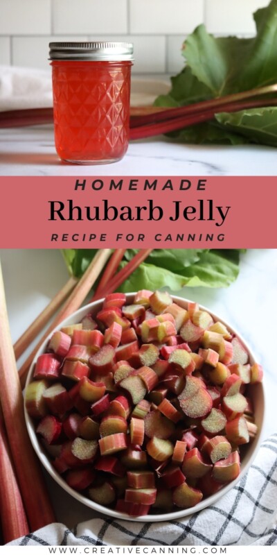 Rhubarb Jelly - Creative Canning