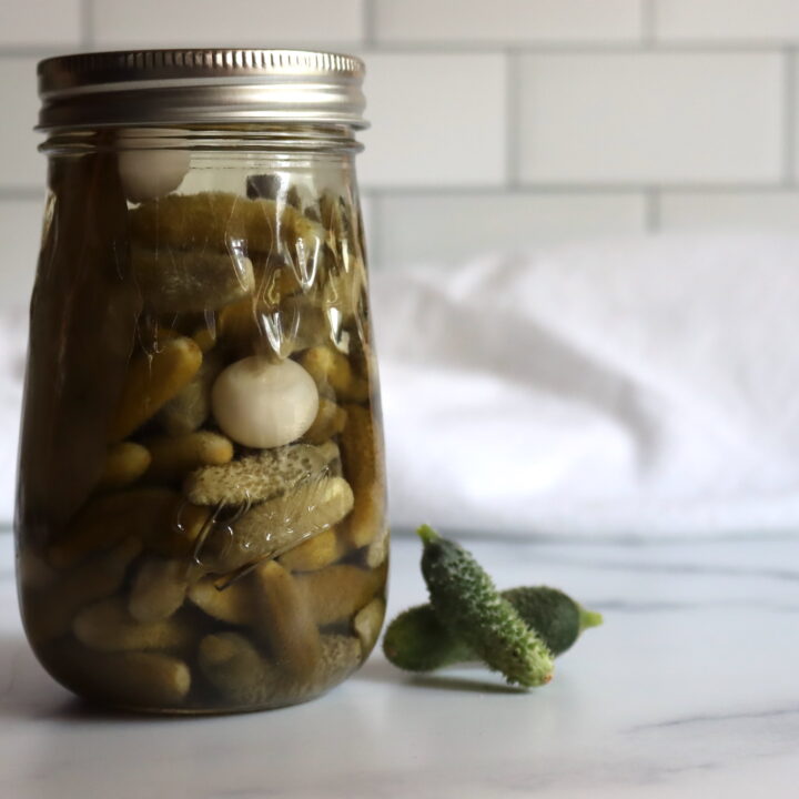 Traditional French Cornichons - Creative Canning