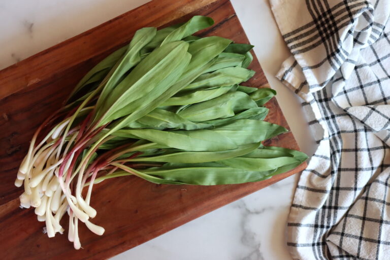 Pickled Ramps (Wild Leeks) - Creative Canning