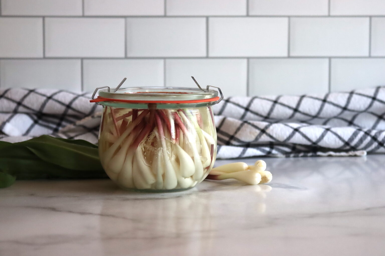 Pickled Ramps (Wild Leeks) - Creative Canning
