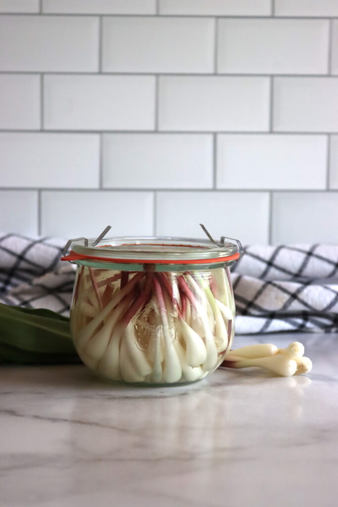 Pickled Ramps (Wild Leeks) - Creative Canning