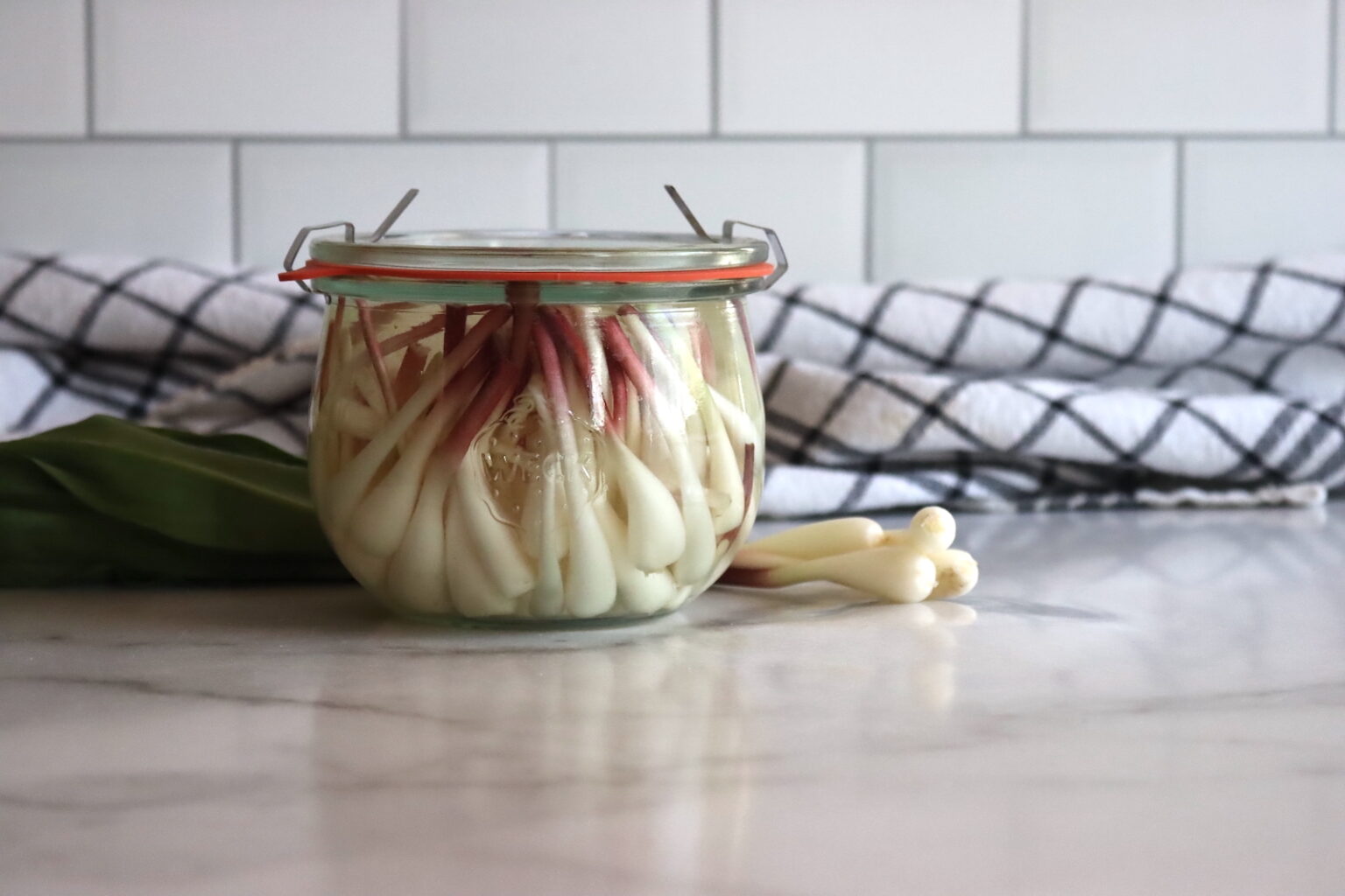 Pickled Ramps (Wild Leeks) - Creative Canning