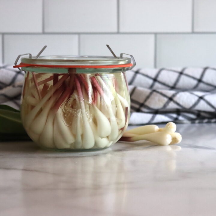 Pickled Ramps (Wild Leeks) - Creative Canning