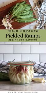 Pickled Ramps (Wild Leeks) - Creative Canning