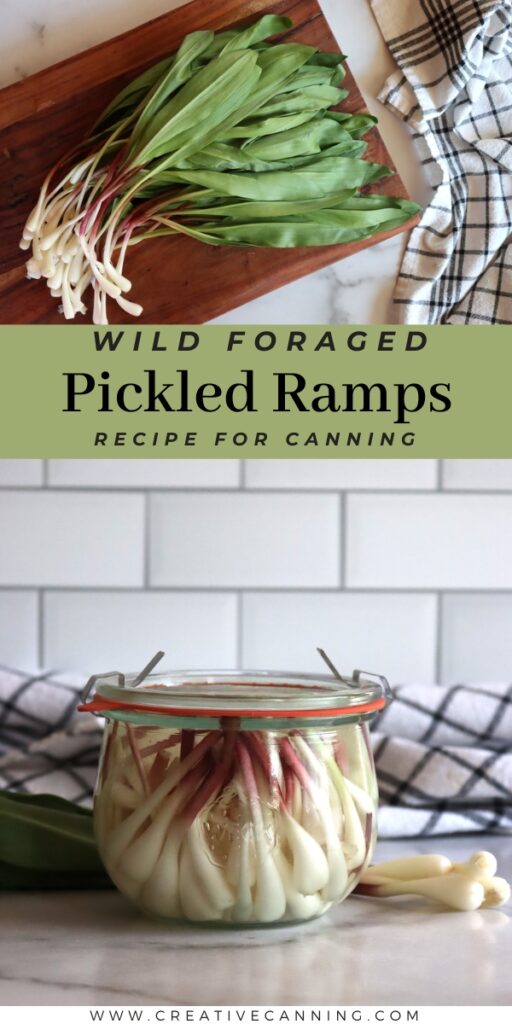 Pickled Ramps (Wild Leeks) - Creative Canning