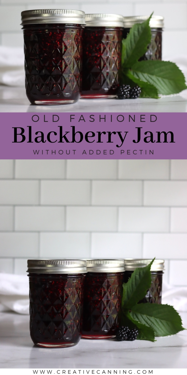Old Fashioned Blackberry Jam No Added Pectin Creative Canning