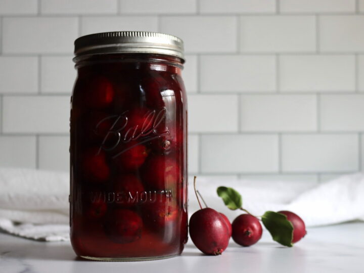 Crabapple Juice (and Syrup) - Creative Canning
