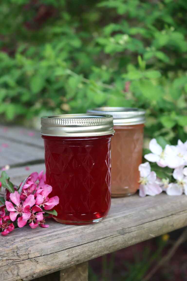 30+ Apple Canning Recipes - Creative Canning