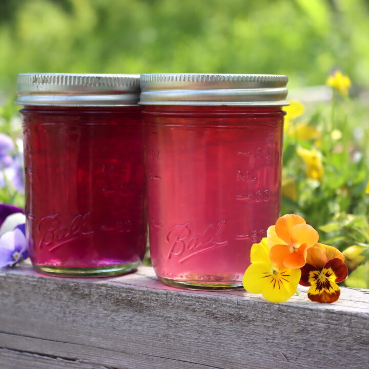 Pansy Jelly - Creative Canning