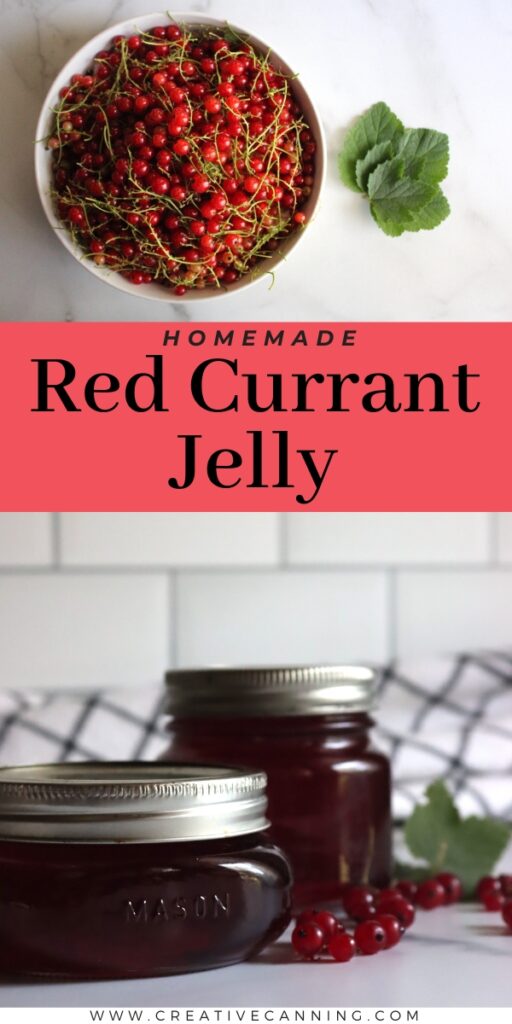 Red Currant Jelly - Creative Canning
